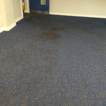 How To Spot Clean Wool Carpet - SJS The Professional Carpet Cleaner